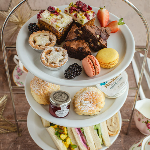 What's On, Events and Activities | Webbs Garden Centres