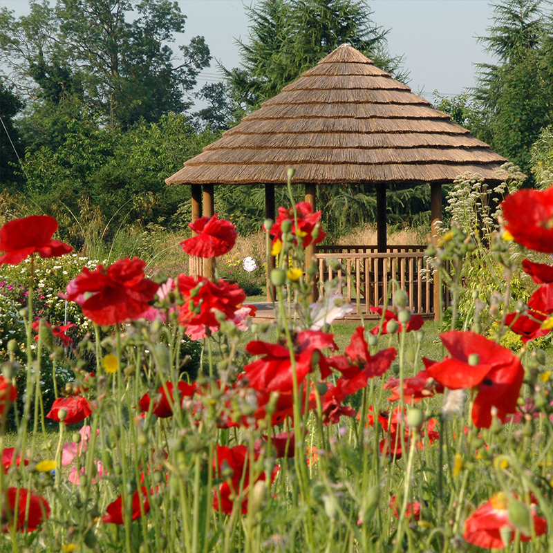 Recipes, Garden Tips, Home Inspiration | Webbs Garden Centre