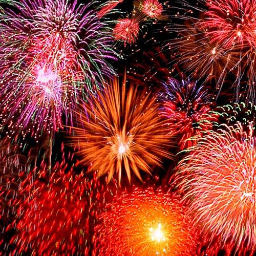 What's On, Events and Activities | Webbs Garden Centres