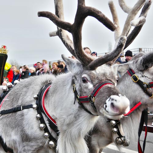 What's On, Events and Activities | Webbs Garden Centres