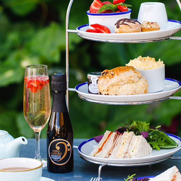 What's On and Events | Webbs Garden Centres