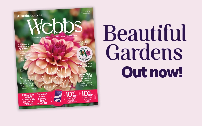 Webbs Garden Centres | Garden Plants, Tools, Furniture