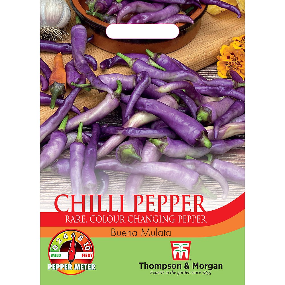 Rare Chili Pepper Plant VibeX Rare Bhut Jolokia Red Hot Chilli Pepper