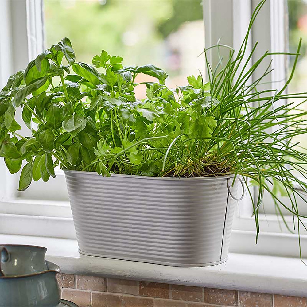 Trough Herb Garden Plant Layout How To Design A Potager, Or Kitchen
