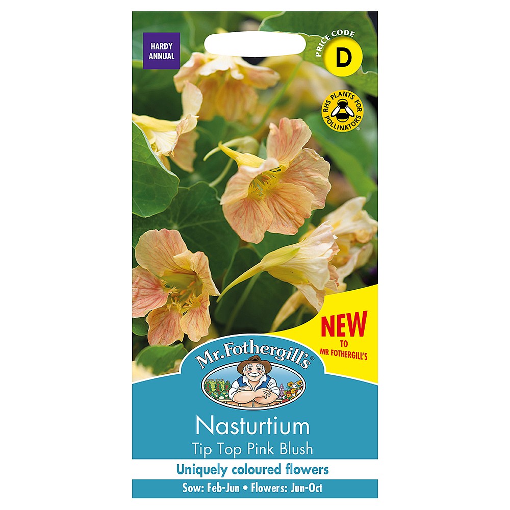Nasturtium Seeds How To Grow Nasturtium From Seed – Seedmart