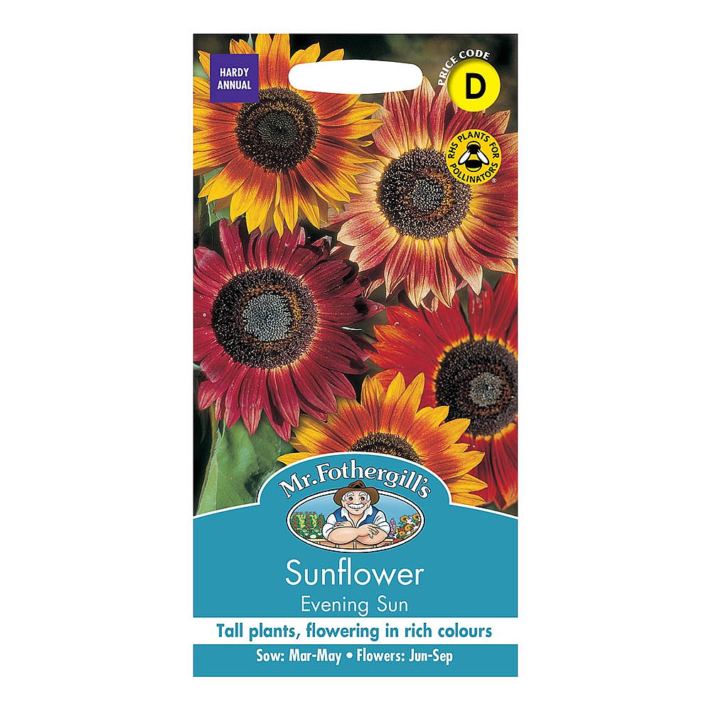 Whats In Sunflower Seeds How To Grow Sunflowers The Home Depot