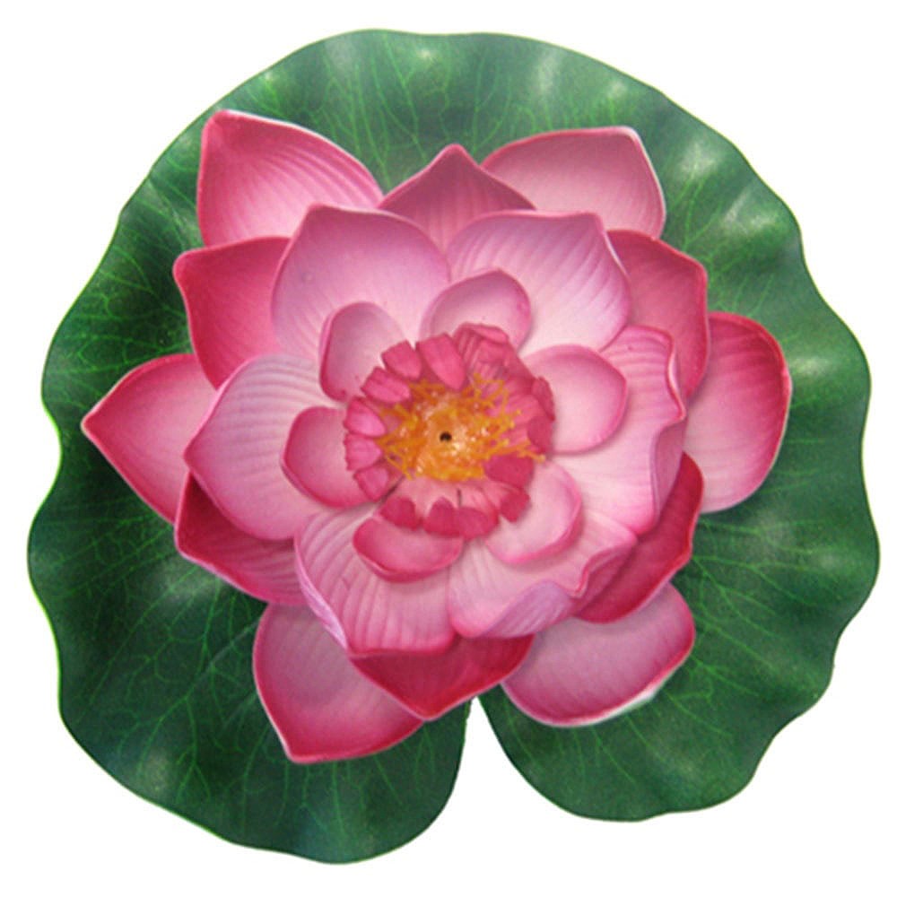 Lily pad store