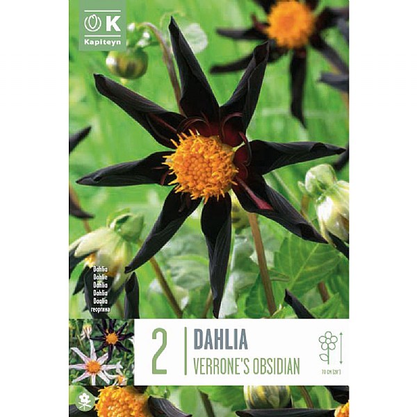 Obsidian What Country They Grow Plants